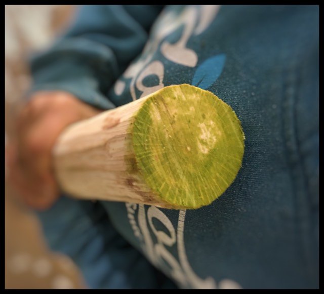 Sticky Weed Juice – Into Nature CIC